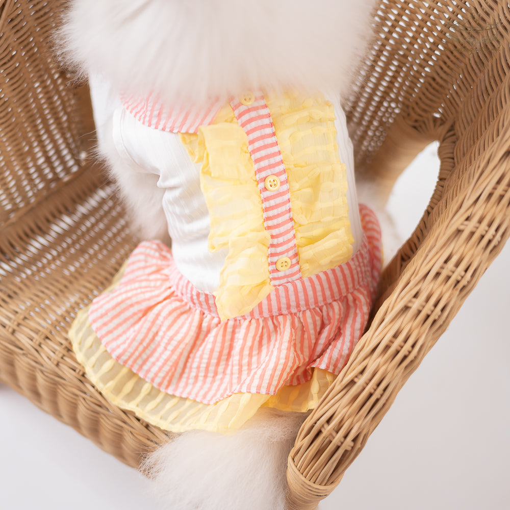 Kindergarten Couple – Dots.hk